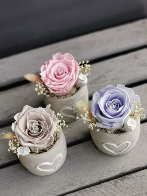 Blooms Florist In Bolton | Flowers, Bouquets, Gifts & More - Blooms in ...