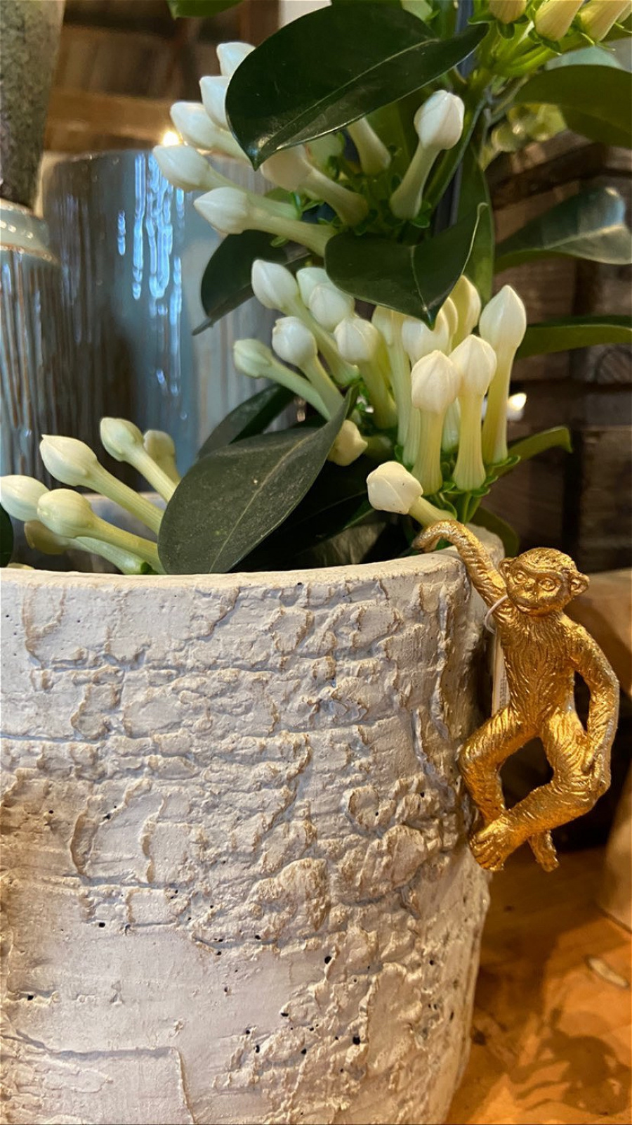 Monkey Pot Hanger - Homeware | Flower Garden