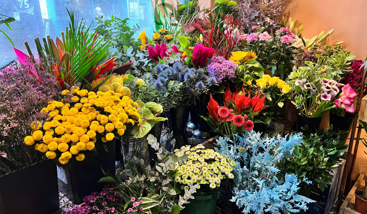 A Florist in Macclesfield | George in The Jungle | Same-Day Flower Delivery