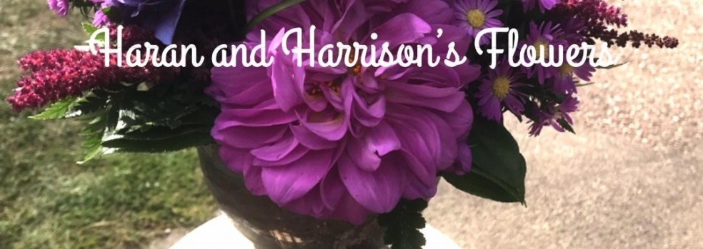 Haran and Harrisons Flowers | A Florist in Hackney | Same Day Delivery ...