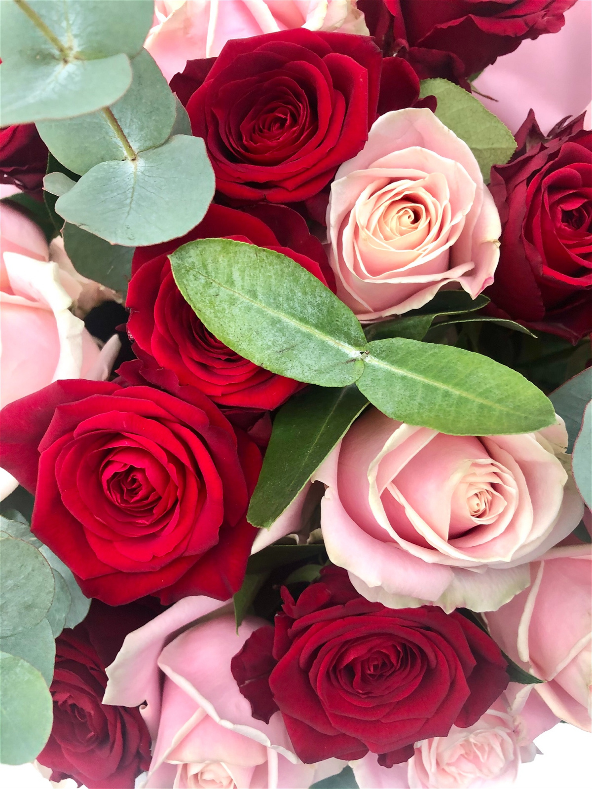 A Luxury Florist in Manchester and surrounding areas - The Flower Lab ...